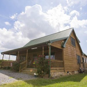 vineyards | Visit Jonesville